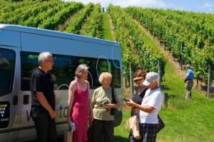 Wine on waiheke scenic premium wine tasting. 11 clients only ! the itinerary: what are the highlights?