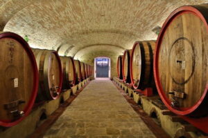 Wine safaris: off road tuscany wine tours and lunch from florence who will love this tour?