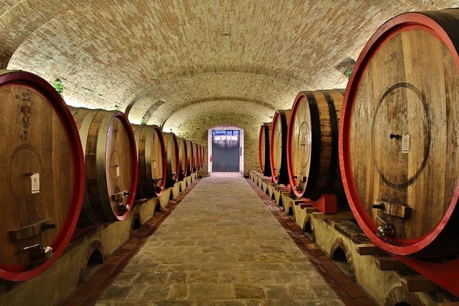 Wine safaris: off road tuscany wine tours and lunch from florence who will love this tour?
