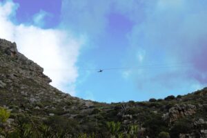Zipline cape town from foot of table mountain reserve final thoughts: who will love this?