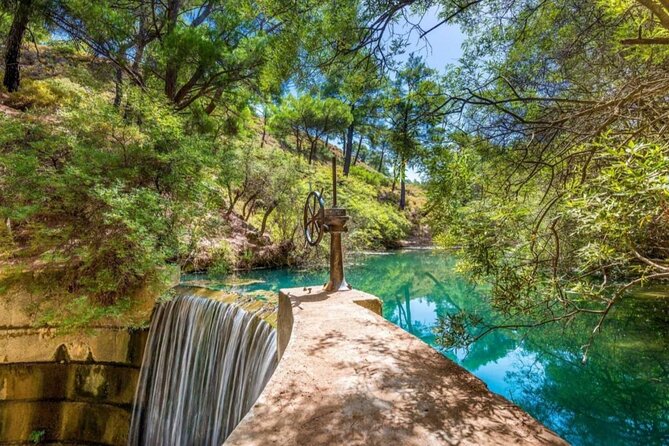 1 Day Rhodes Island Tour with Olive Oil, Honey and Wine Tasting - Honest Feedback from Travelers