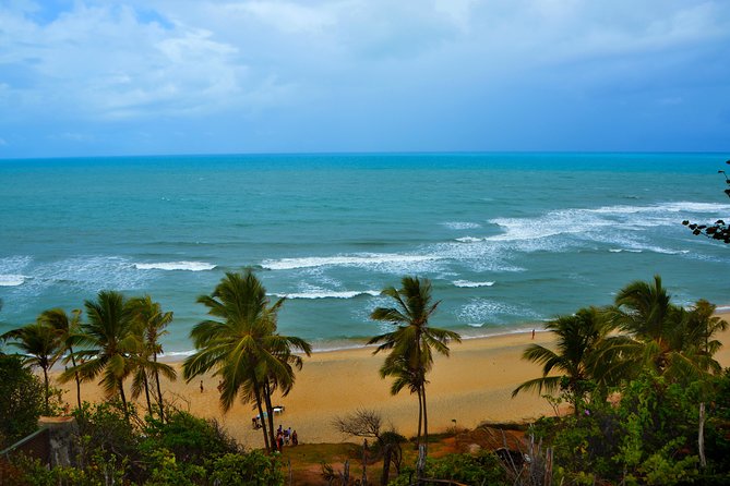 1 Day Tour to Pipa Beach / RN - Departing from Natal / RN - Transportation and Group Size