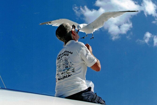 1-hour boat trip around the Port of Mahón - What the Reviews Say