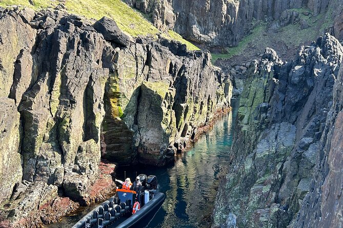 1 Hour Iceland Nature and Wildlife RIB Small Group Guided Safari - The Experience Through the Eyes of Past Participants