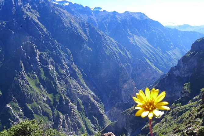 2 day 1 night trek / Colca Canyon - Frequently Asked Questions