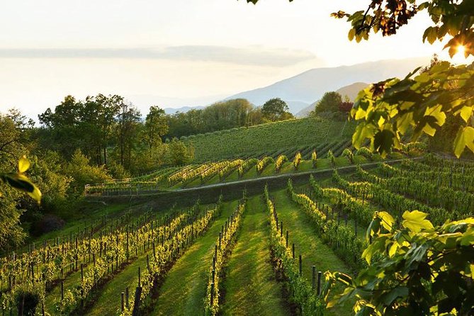 2 Guests Private Prosecco Road Tour All Inclusive from Conegliano - Who Should Consider This Tour?