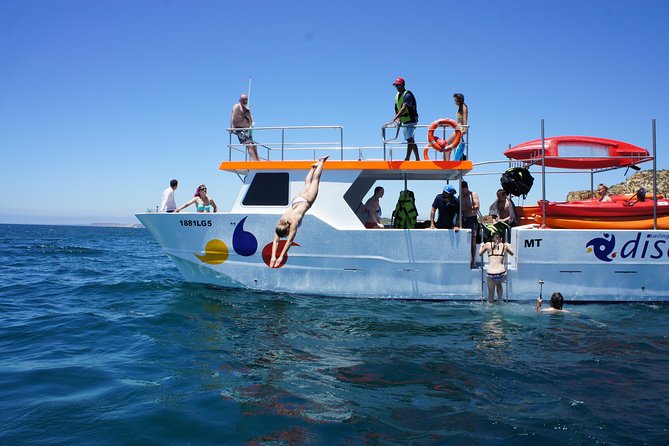 2-hour Kayak Tour of Ponta da Piedade Caves and Beaches - Final Thoughts: Is It Worth It?