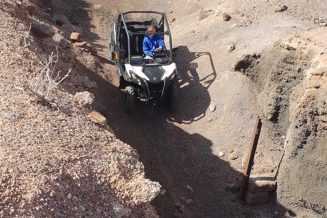 3-hour Buggy Tour from Costa Teguise - The Sum Up