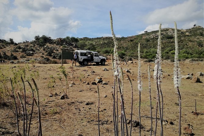 4x4 excursion between mountain and sea - The Transport and Group Dynamics