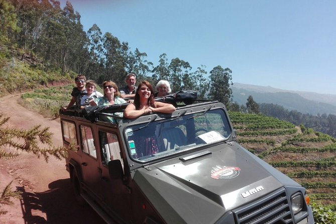 4x4 Safari Half day Poncha, Mountains, Vineyards and Cabo Girão Small group - The Experience: Adventure, Culture, and Flavors