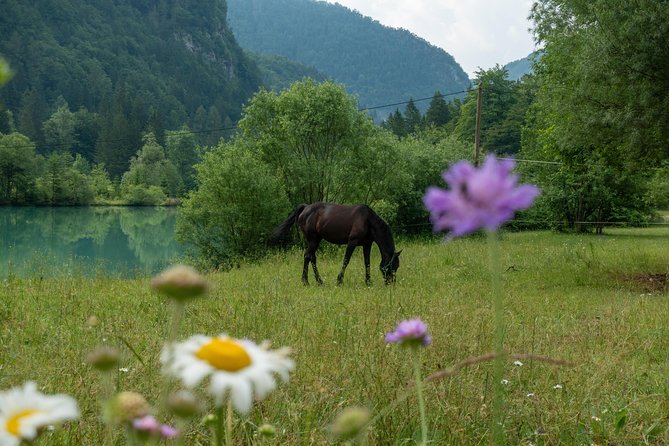 7 Alpine Wonders- Day Tour Bled, Soca valley, Slovenia - Who is This Tour Best For?