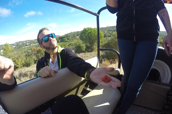Algarve Safari - Full Day Tour from Albufeira w / lunch - FAQ