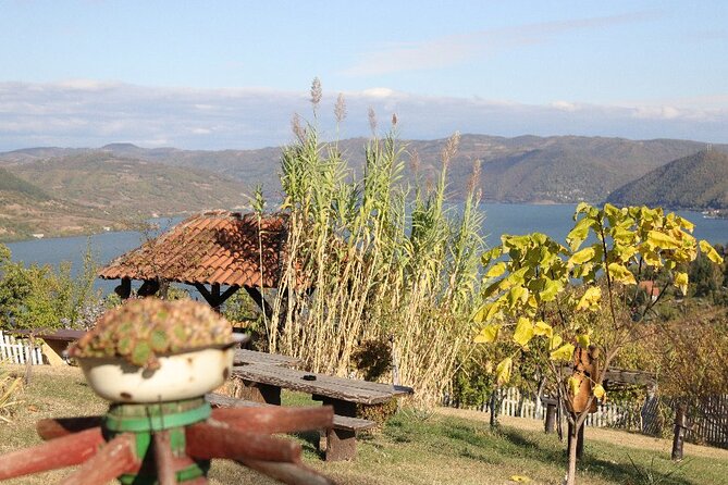 Along the Danube: Golubac Fortress & Iron Gate Gorge day trip from Belgrade - Final Thoughts: Who Should Consider This Tour?