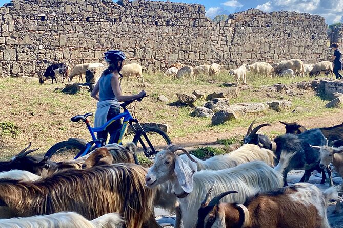 Appian Way on E-bike: Tour with Catacombs, Aqueducts and Food - Authenticity and Overall Experience