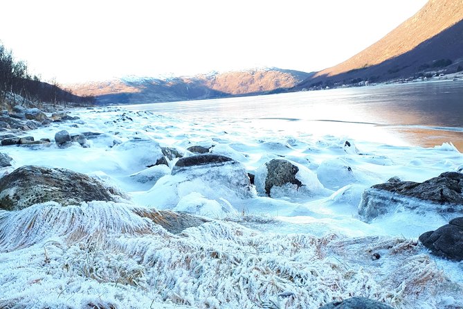 Arctic fjord and Landscape Tour - Who Will Love This Tour?
