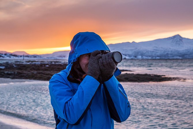 Arctic Nature Tour from Tromsø by minibus - The Sum Up: Who Will Love This Tour?