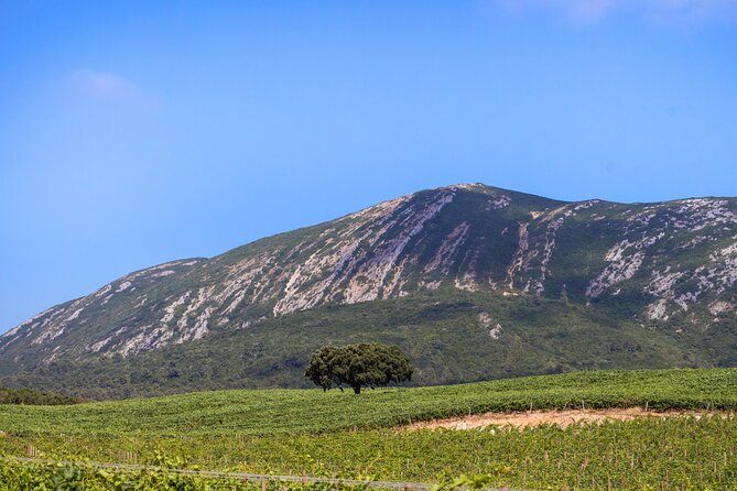 Arrabida and Sesimbra Small-Group Day Trip from Lisbon with Wine Tasting - FAQ