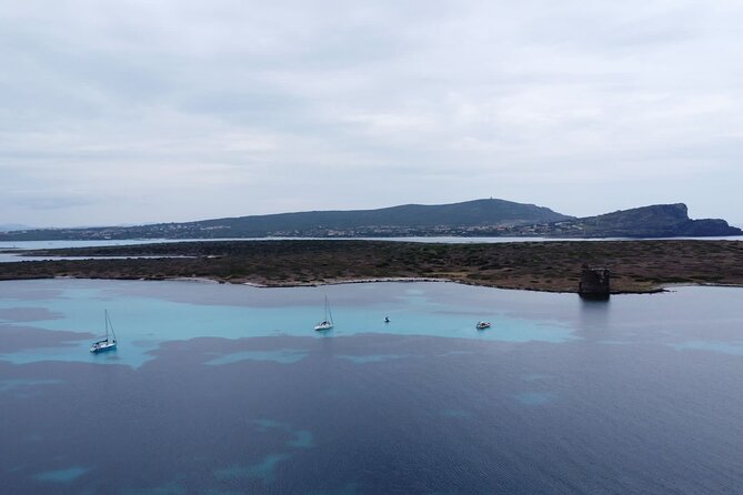 Asinara: Sailing trip in the park of Asinara - The Sum Up