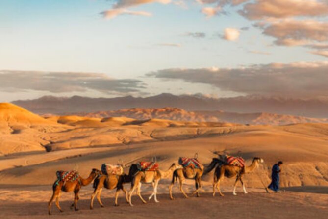 Atlas Mountains, 3 Valleys & Agafay Desert from Marrakech-DayTour - FAQ