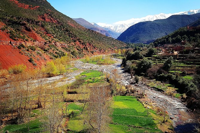 Atlas Mountains & 5 Valleys Tour from Marrakech - All inclusive - - Oukaimeden Valley: Mountain Scenery & Village Life