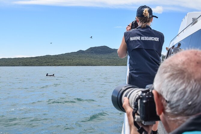 Auckland Dolphin and Whale Watching Eco-Safari Cruise - The Value and Overall Impression