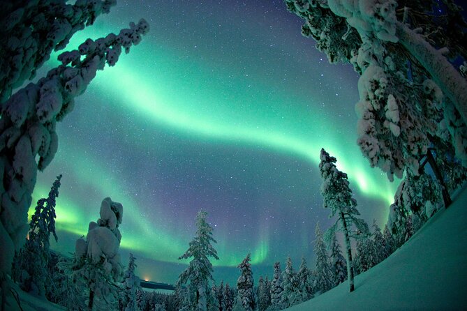 Aurora Borealis Picnic in Rovaniemi - Who Will Love This Tour?