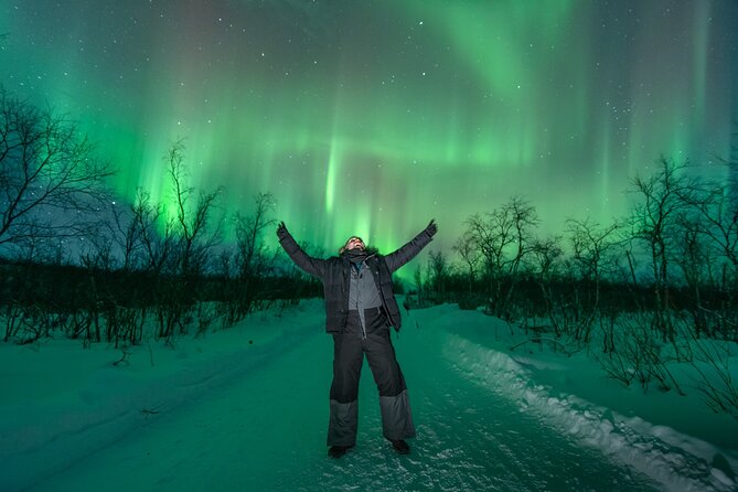Aurora Hunt with the campfire and professional photographer - The Sum Up