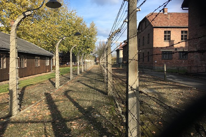 Auschwitz-Birkenau Day Tour from Wroclaw - The Logistics: Comfort, Value, and Tips