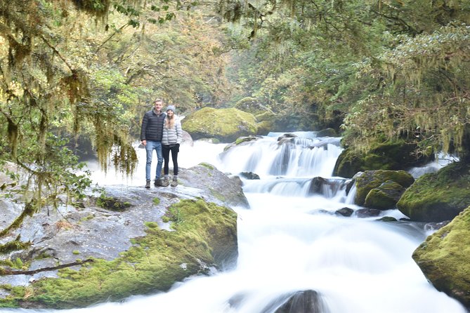 Award Winning Milford Sound Full Day Tour & Cruise from Te Anau - Final Thoughts