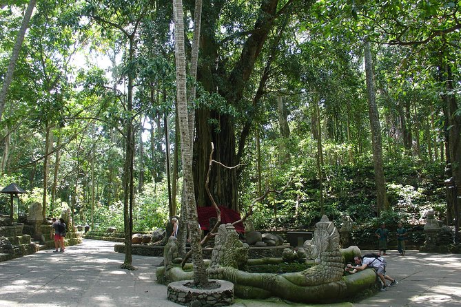 Bali Full-Day Traditional Village Sightseeing Trip All Inclusive - FAQs: Your Bali Full-Day Tour Questions