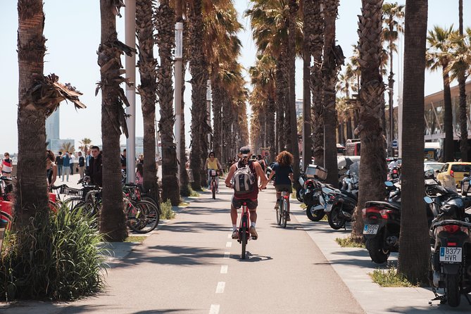 Barcelona 3-hour Bike Tour: Highlights and Hidden Gems - The Value of This Tour