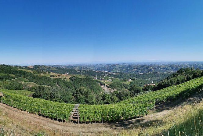 Barolo&Barbaresco wine tour with a local winemaker - Who Should Book This Tour?