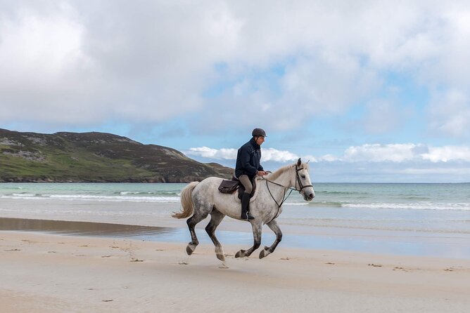 Beach & countryside horse riding outside Westport. Guided. 1 hour - The Practicalities: What’s Included and What’s Not?