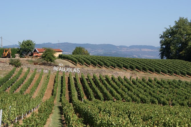 Beaujolais & Perouges Medieval Town (9:00 am to 5:15 pm - Small Group Tour Lyon - Why This Tour Delivers Exceptional Value