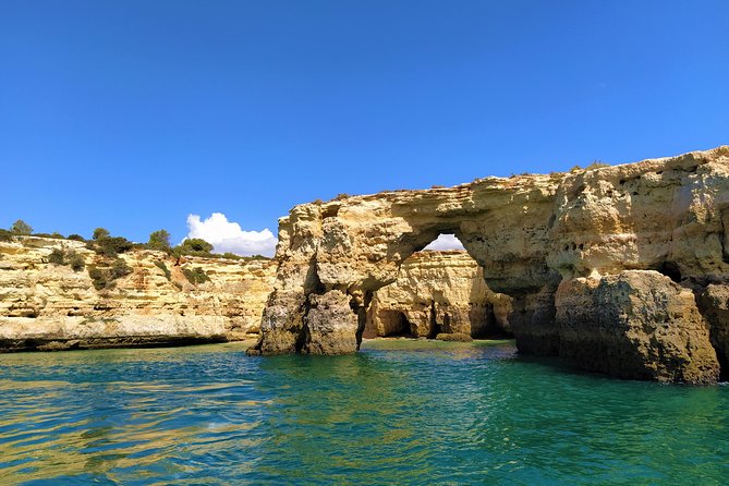 Benagil And Dolphins Tour - The Value of the Experience