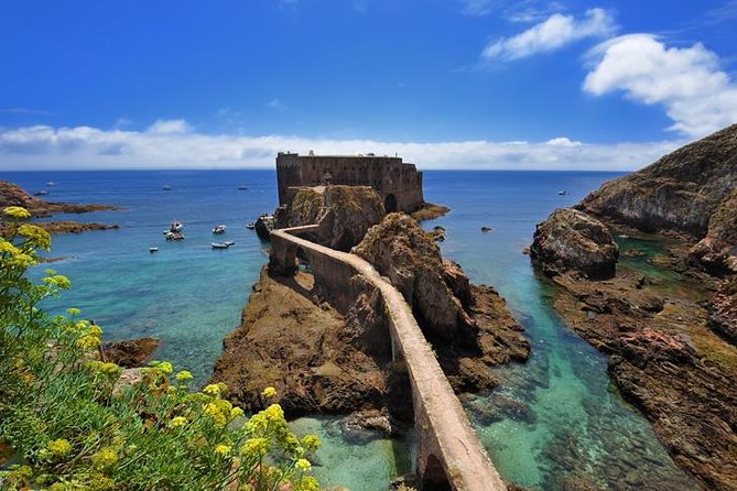 Berlenga Island Small-Group Day Trip from Lisbon - Whats the Value?