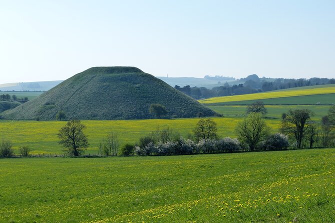 Bespoke private tours of Stonehenge and Avebury by car with local guide - The Experience’s Drawbacks and Considerations