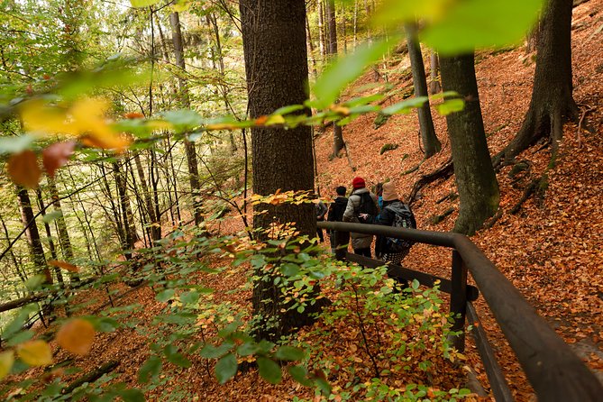 Best Reviews: Saxon and Bohemian Switzerland Day Trip from Prague - FAQ: Your Questions Answered