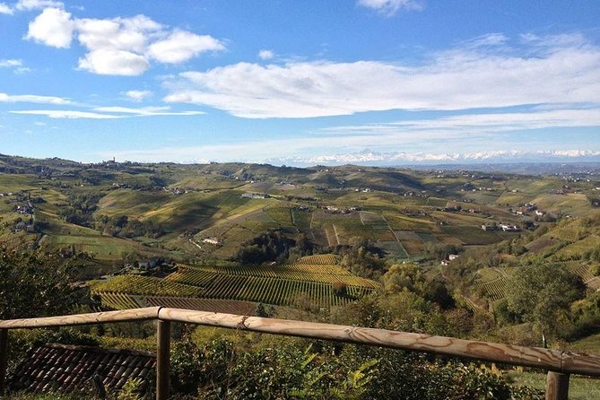 "Between Langhe and Monferrato" - Wine Tasting and Cellar Visit - Practical details and logistics