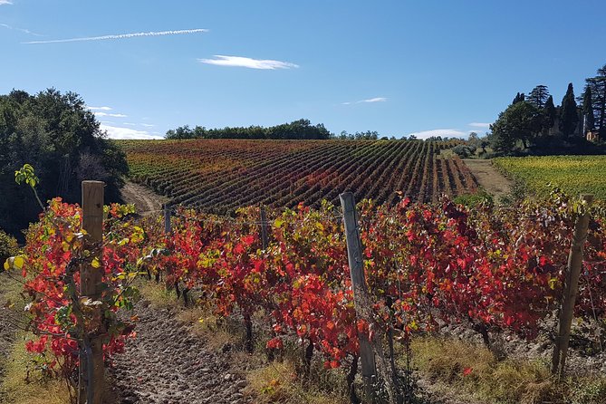 Bevagna E-Bike & Wine Tour - In-Depth: Breaking Down The Itinerary