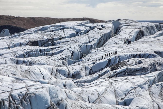 Blue Ice Discovery  Guided Glacier Hike from Skaftafell - Group Size and Price