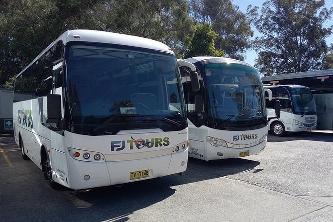Blue Mountains Day Trip from Sydney Including Scenic World - Who Is This Tour Best For?