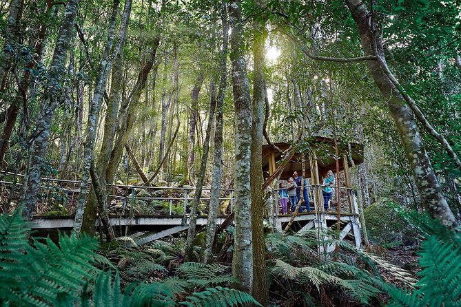 Blue Mountains Small-Group Tour from Sydney with Scenic World,Sydney Zoo & Ferry - Authentic Experiences as Seen Through Reviews