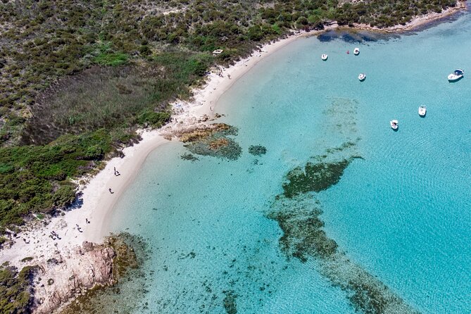 Boat trip La Maddalena Archipelago - Departure from Palau - The Experience and Atmosphere