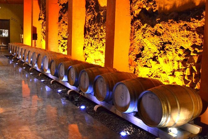 Bodegas Monje Winery Ticket w/Wine Tasting & Mojo Sauce Workshop - To sum it up