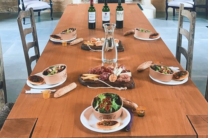 Bordeaux Full Day Wine Tour - 3 Wineries & Gourmet Picnic Lunch - Who Would Enjoy This Tour?