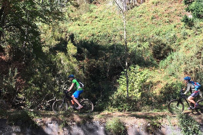 Botanical Trails of Madeira. Mountain biking Trail Experience - The Sum Up
