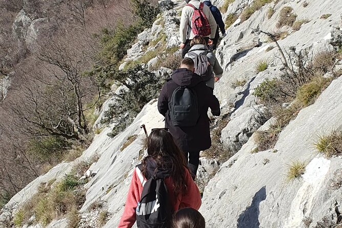 Bovilla lake Hiking Experience - Logistics and Practical Tips