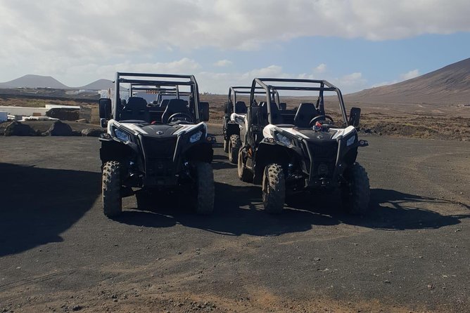 Buggy 3h Guided tour of the north of Lanzarote - What the Reviews Say
