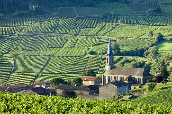 Burgundy Wine Tasting Small-Group Tour in Chablis from Paris - The Itinerary: What Makes Each Stop Special